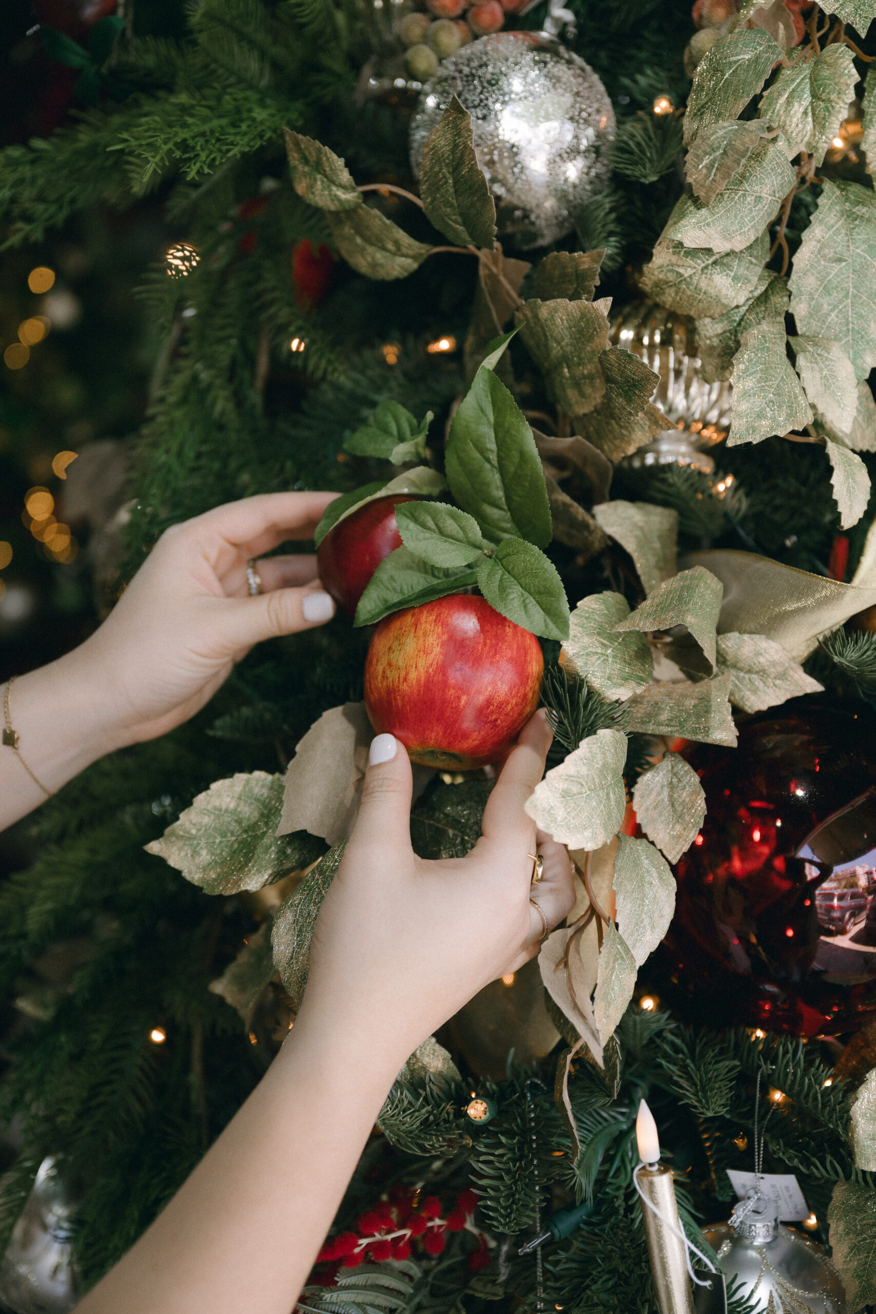 Rama de Manzanas Rojas - Florenzza